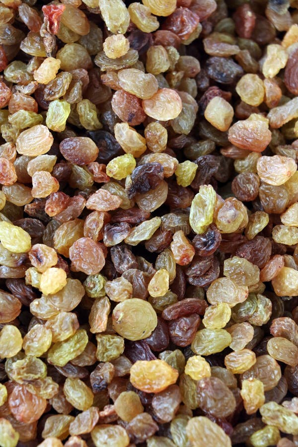 Two varieties of raisins stock image. Image of berries - 42364065