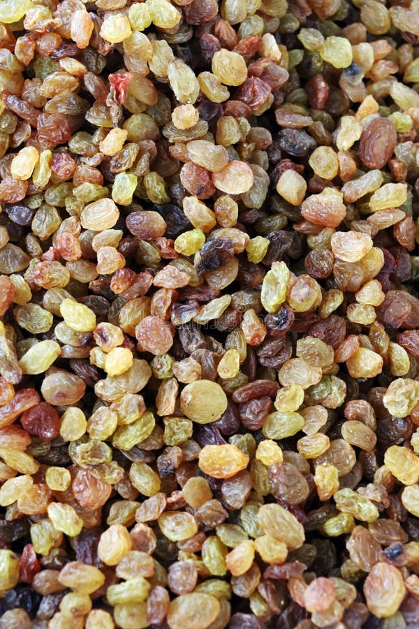 Two varieties of raisins stock image. Image of berries - 42364065