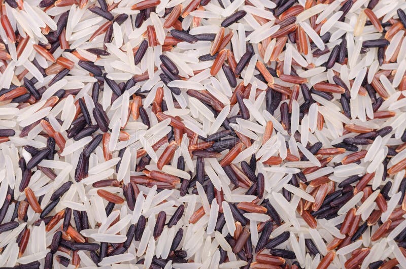 Mixture of rice stock image. Image of organic, agriculture - 42290769
