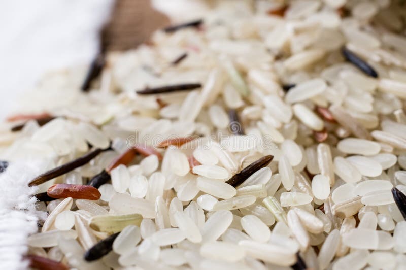Mixture of rice stock image. Image of background, detail - 49727117