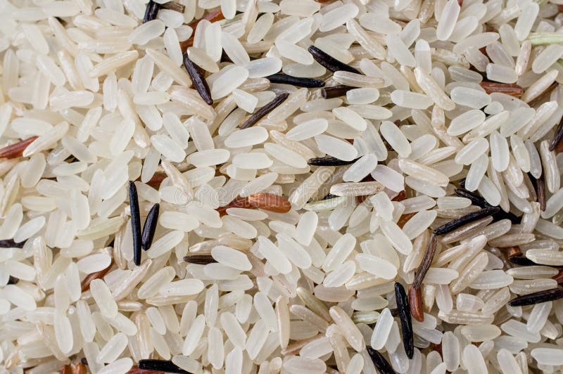 Mixture of rice stock photo. Image of white, organic - 49854350