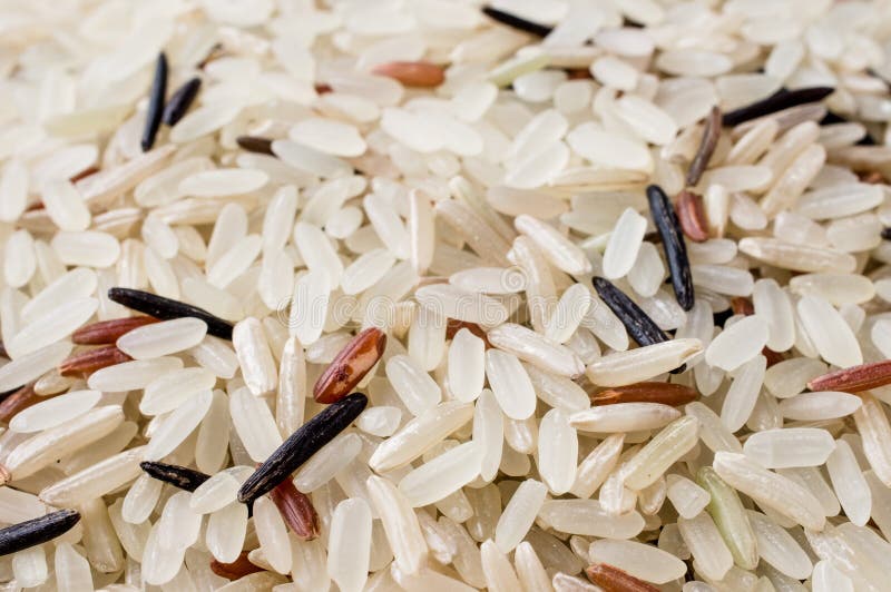 Mixture of rice stock photo. Image of color, white, organic - 49904046