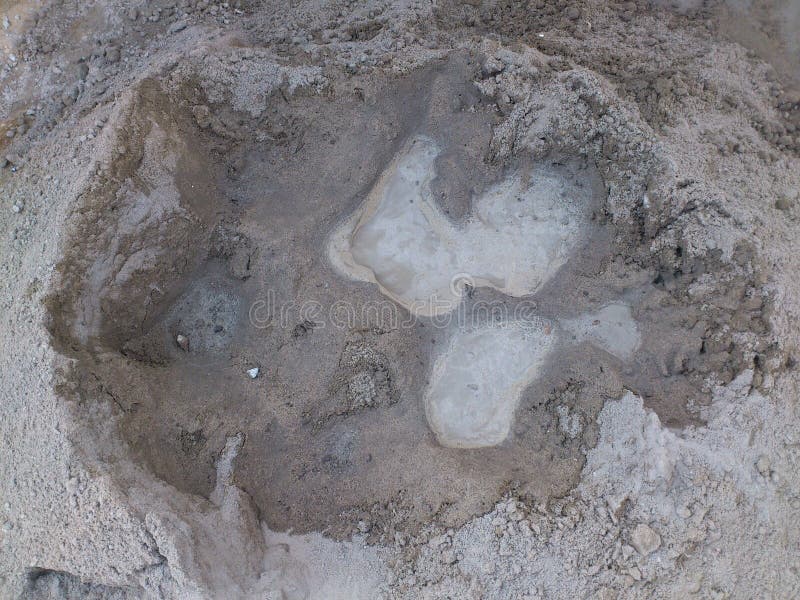 MIXTURE of SAND and CEMENT stock photo. Image of water - 74732284