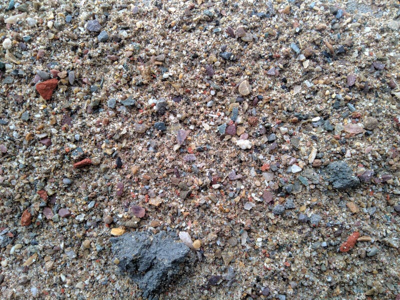 Fine soil stock photo. Image of fallow, environment, botany - 16842954