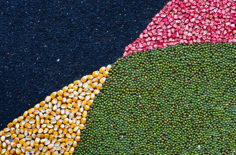 Mixture of seeds backgound stock photo. Image of nutrition - 18021294