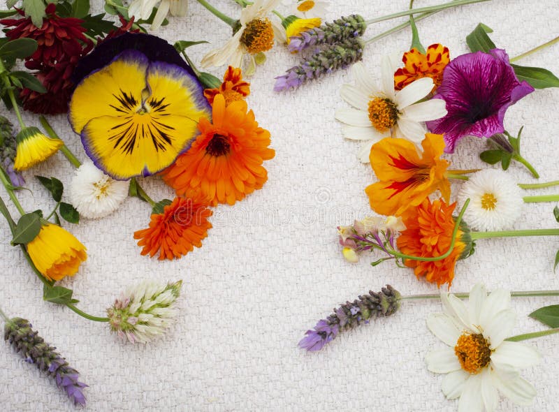 Springtime Wildflower Mix Flat Lay Stock Photo - Image of produce ...