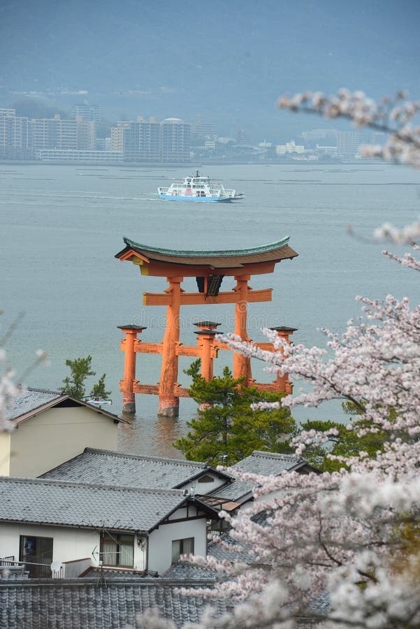 Miyajima sakura stock photo. Image of religion, hiroshima - 80593468