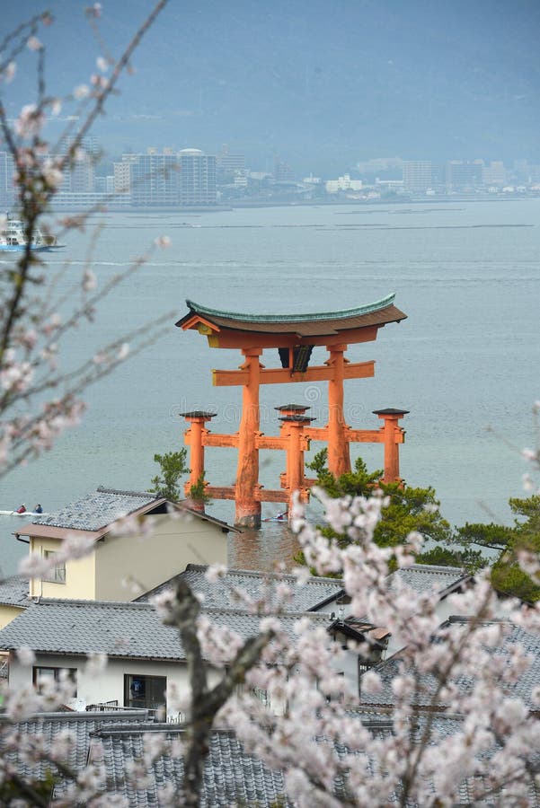Miyajima sakura stock image. Image of landmark, floating - 100306789