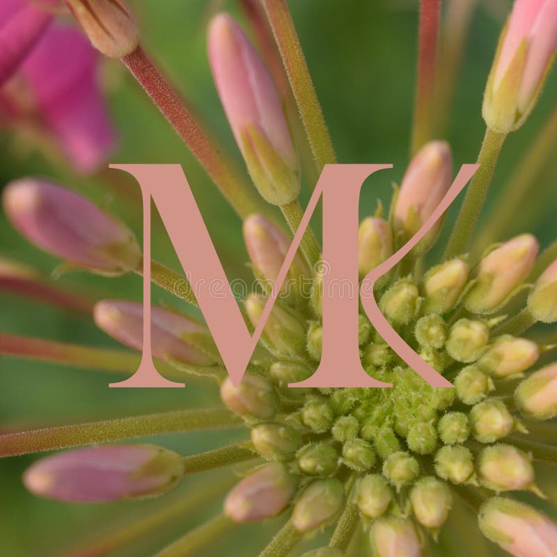 Mk text stock photo. Image of produce, herb, leaf, tree - 353445828