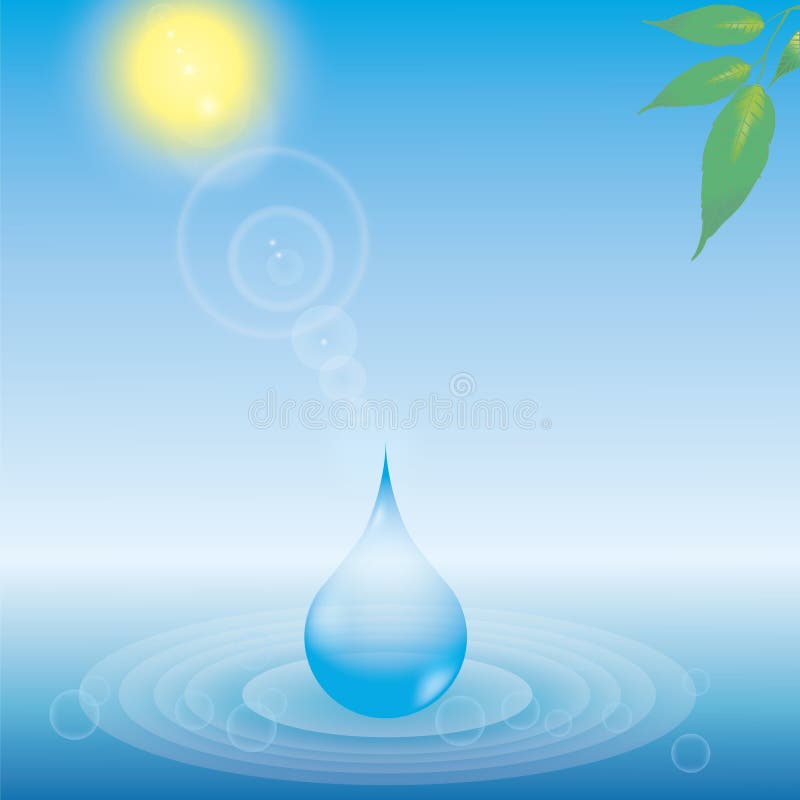 Transparent Water Drops / Under the Sun Stock Vector - Illustration of ...