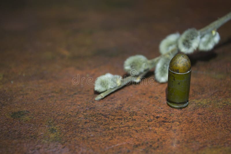 The 9 Mm. Gunshot Shell is a Bullet for Shooting Practice on the ...
