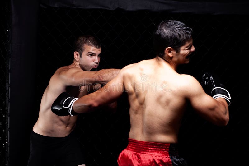 Greg Rebello V. Mike Stewart MMA Editorial Stock Photo - Image of mixed ...