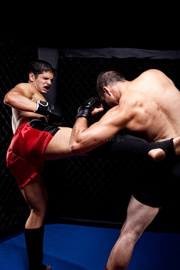 MMA stock image. Image of muscular, fighting, fighter - 16312929