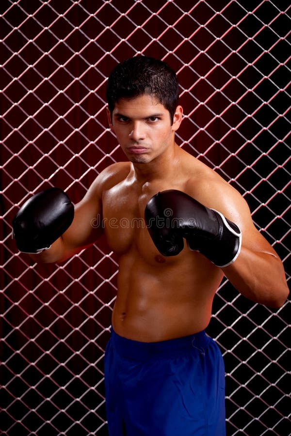 Mma stock image. Image of competitor, athletic, martial - 16374839