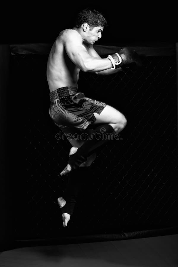 MMA stock image. Image of fighter, cage, competition - 16374995