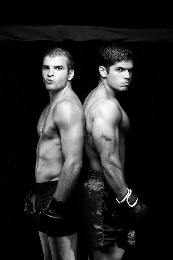 101 Back Mma Fighter Stock Photos - Free & Royalty-Free Stock Photos ...