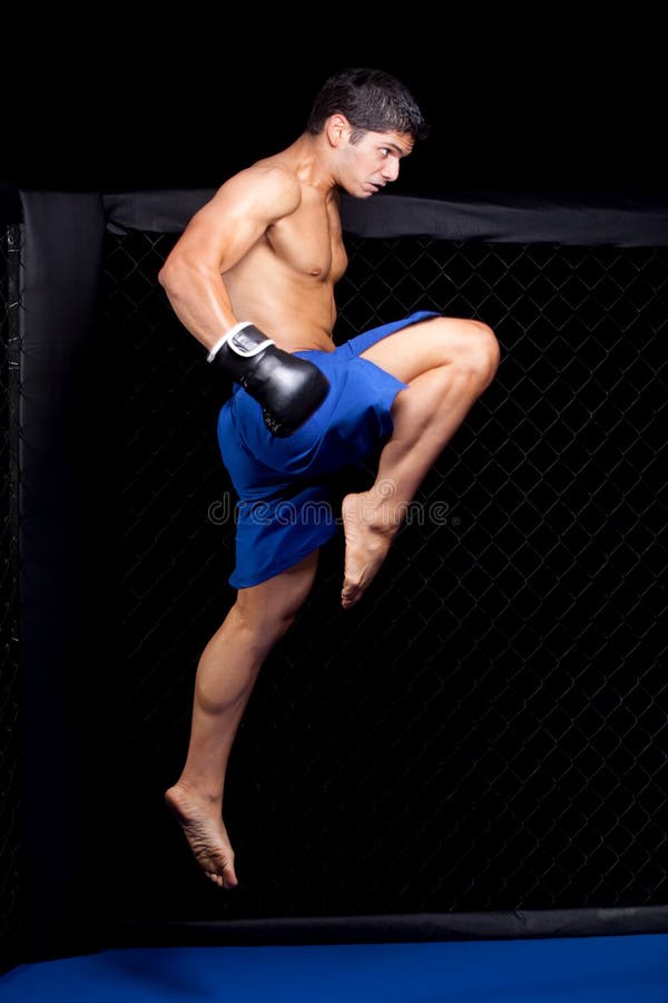 MMA stock photo. Image of adult, arts, muscular, fighting - 16755536