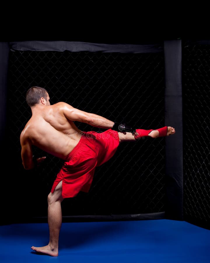 MMA stock photo. Image of cage, young, mixed, combat - 16755542