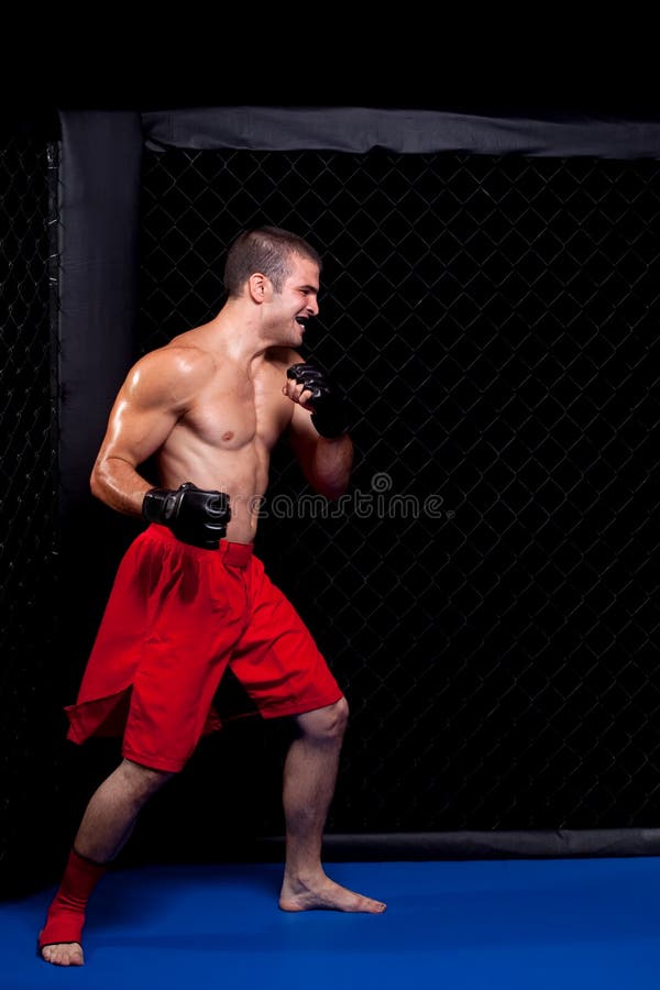 MMA stock image. Image of boxing, competitor, young, fighter - 16755543