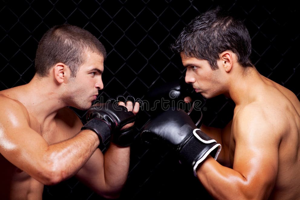 Mma stock image. Image of muscular, young, fighting, opponents - 16755563