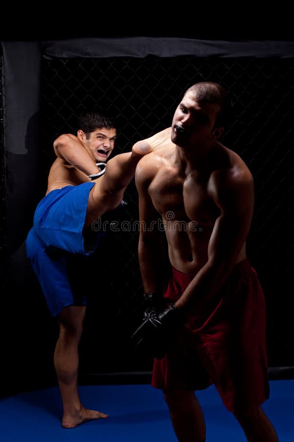 MMA stock image. Image of impact, muscular, male, fight - 16755579