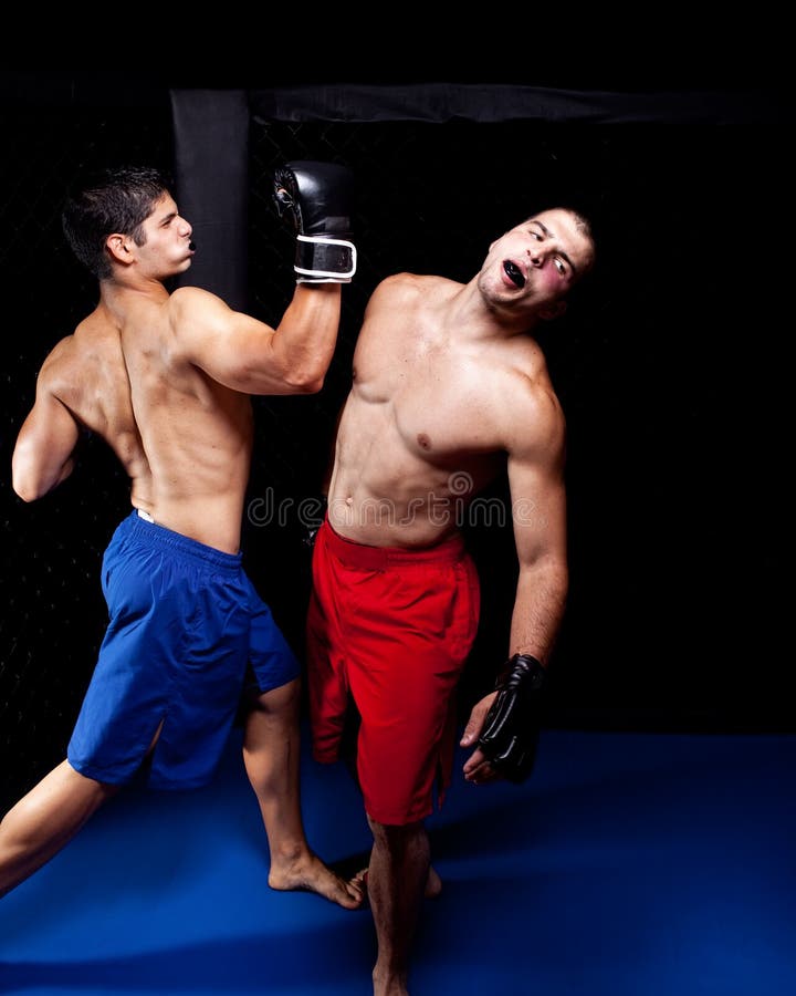 Mma stock photo. Image of sports, boxing, punch, athletic - 16755696