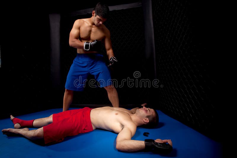 MMA stock image. Image of arts, painful, defeated, cage - 16755707
