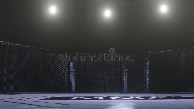 Mma Arena Side View. Empty Fight Cage Under Lights. 3D Rendering Stock ...