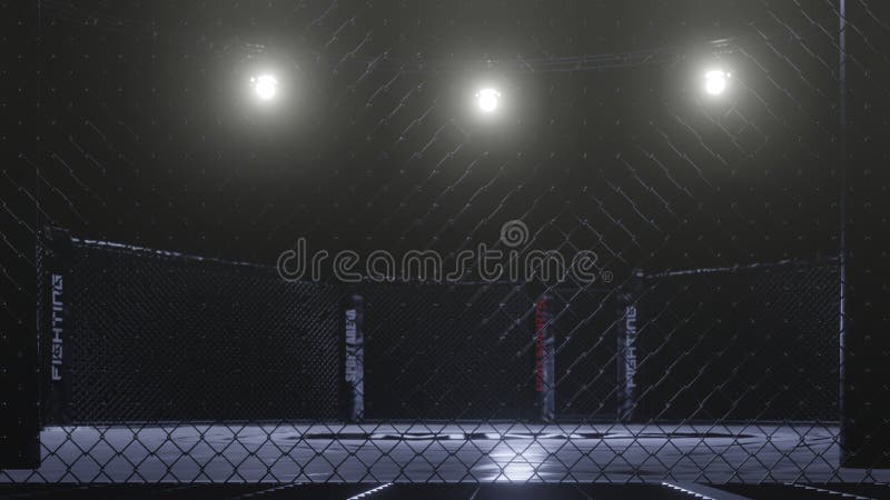 Mma Arena Side View. Empty Fight Cage Under Lights. 3D Rendering Stock ...