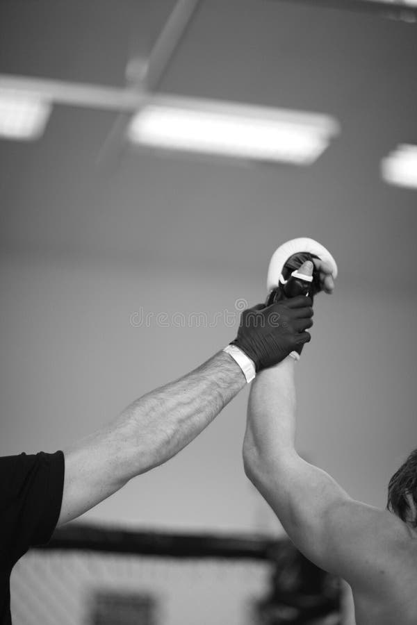 MMA champion stock photo. Image of muscular, conflict - 63188154