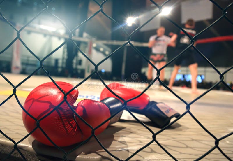 MMA fight scene stock image. Image of muscular, body - 145790821