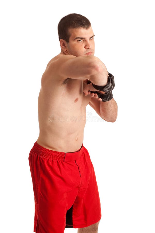 MMA Fighter stock photo. Image of arts, muscle, male - 18998706