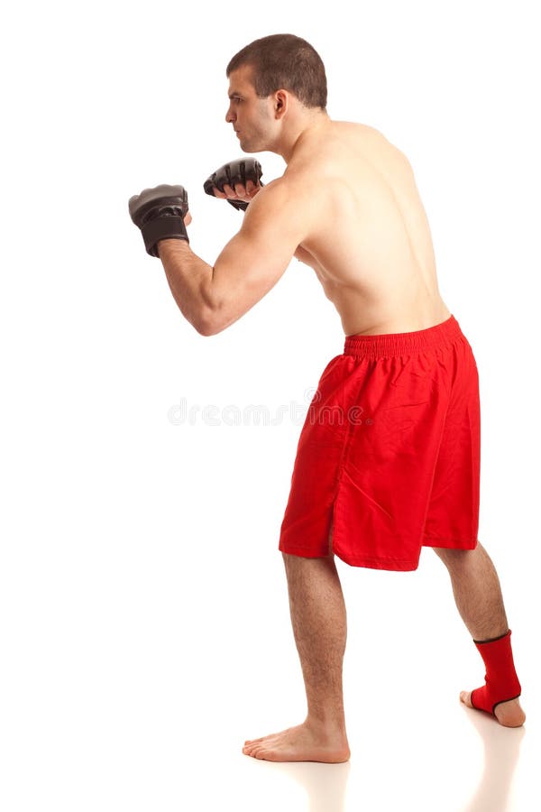 MMA Fighter stock photo. Image of martial, sports, shot - 18998732