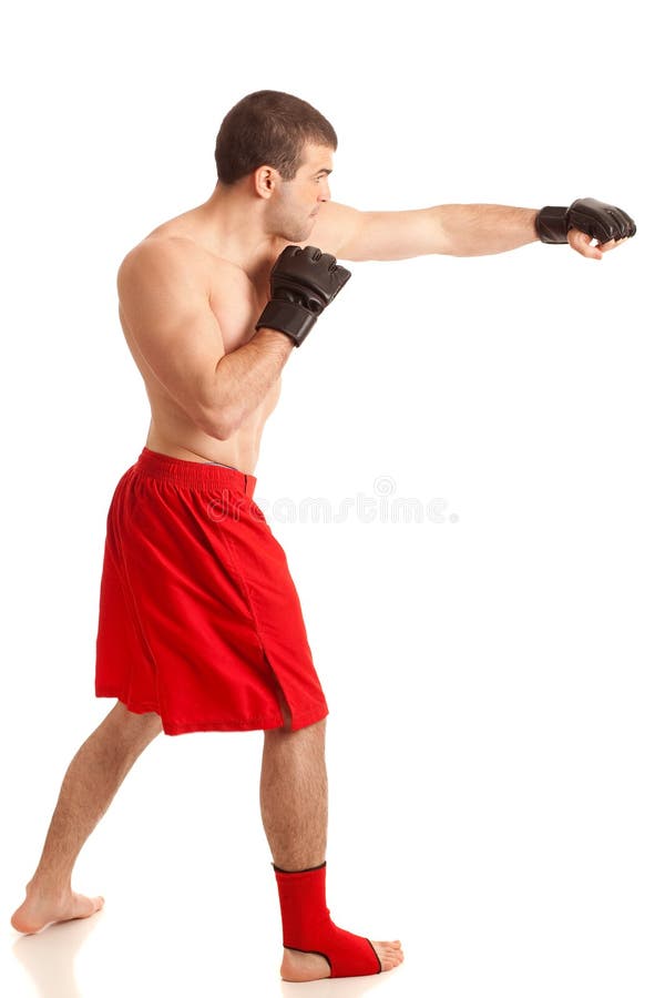 MMA Fighter stock photo. Image of martial, sports, shot - 18998732