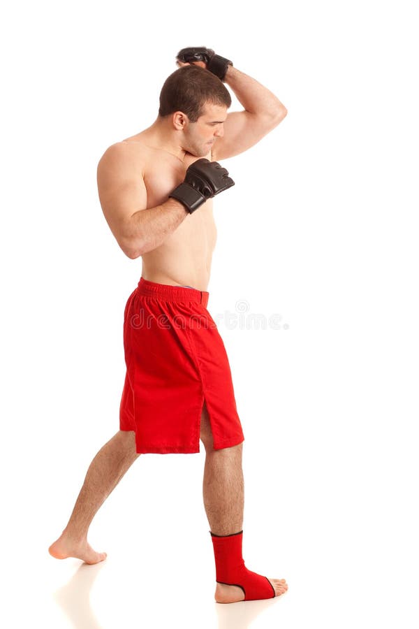 MMA Fighter stock photo. Image of martial, sports, shot - 18998732