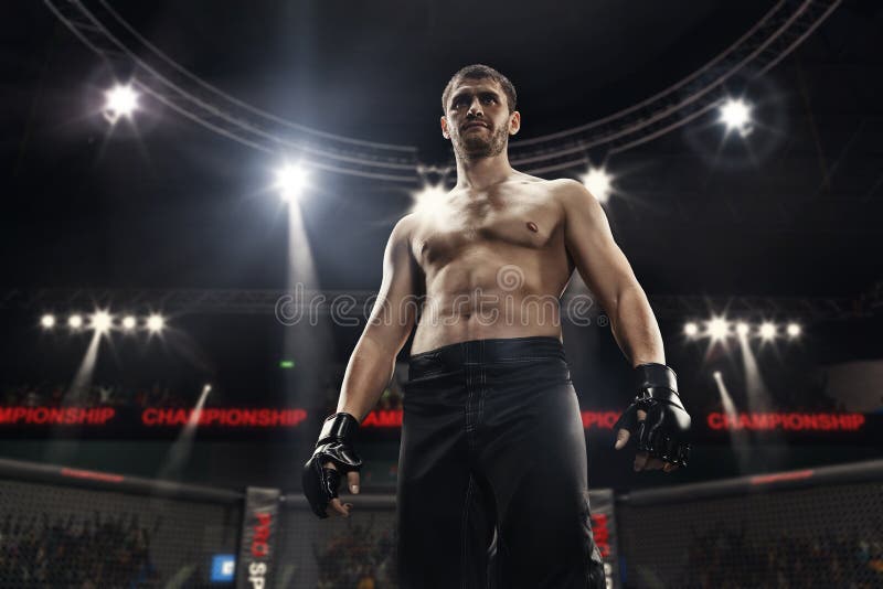 Mma Fighter in Fighiting Stage Close Up Stock Photo - Image of respect ...