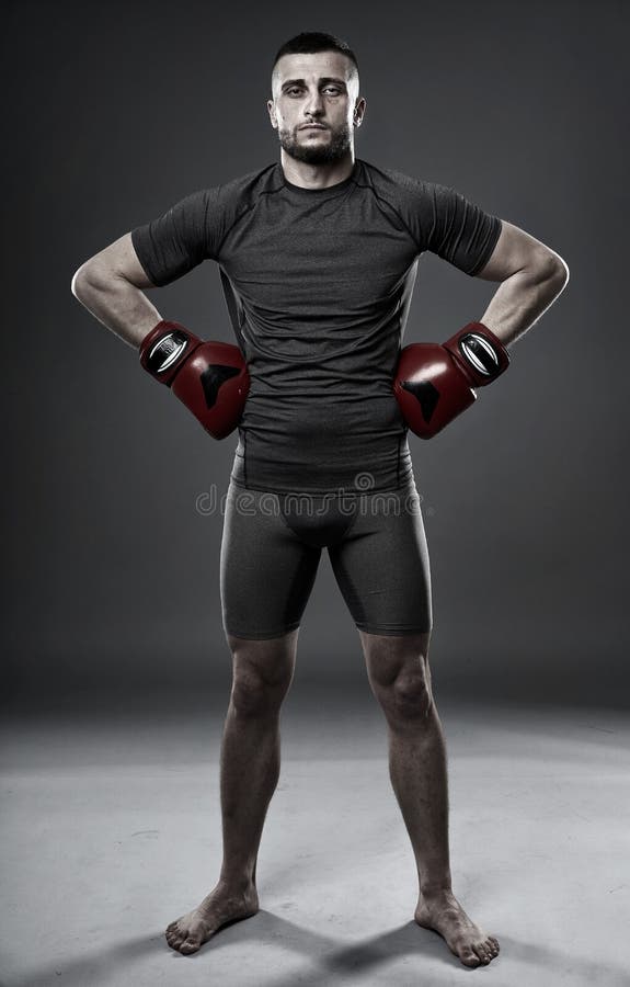 MMA fighter posing on gray stock photo. Image of healthy - 214087018