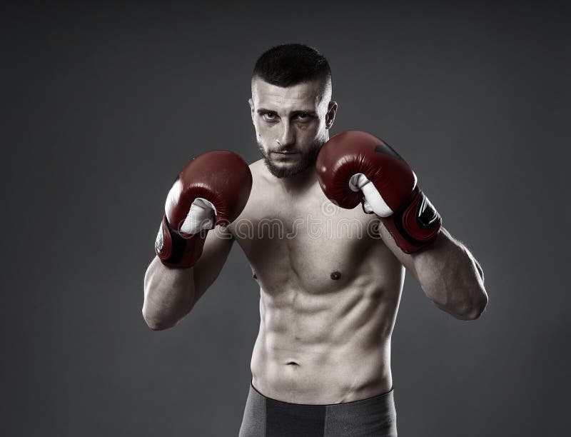 MMA fighter training stock photo. Image of healthy, bruise - 214086986