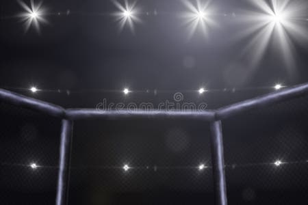 Mma Fighting Stage Side View Under Lights Stock Image - Image of stage ...