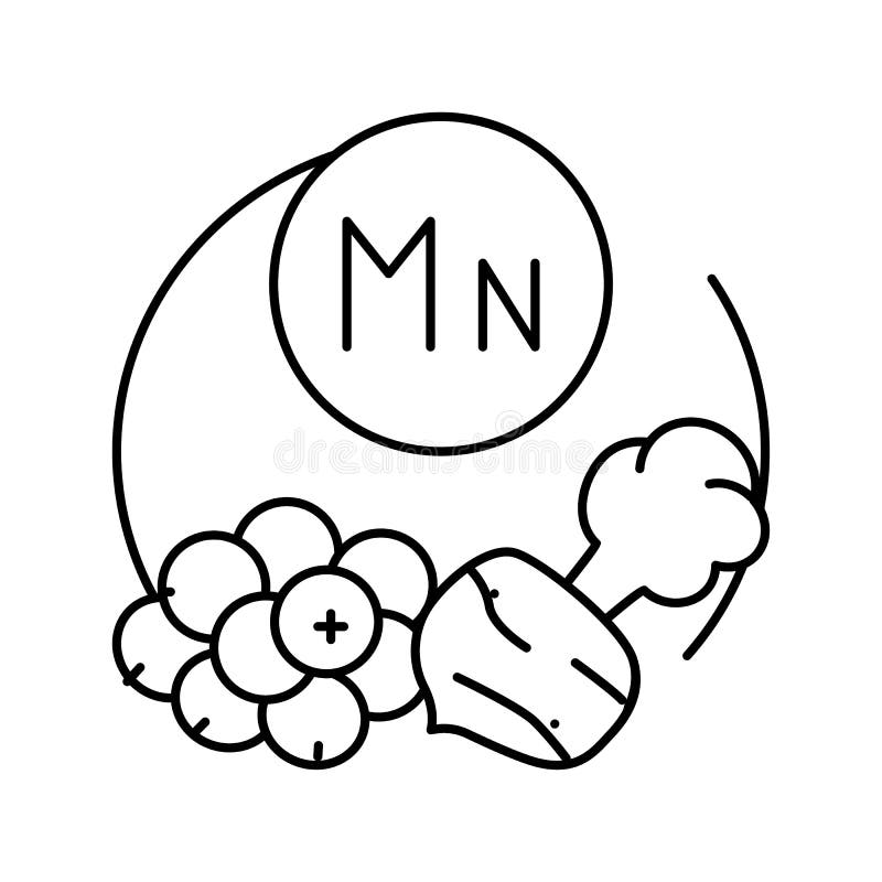 Mn Vitamin Line Icon Vector Illustration Stock Vector - Illustration of ... Mn Vitamin Line Icon Vector Illustration Stock Vector - Illustration of ...