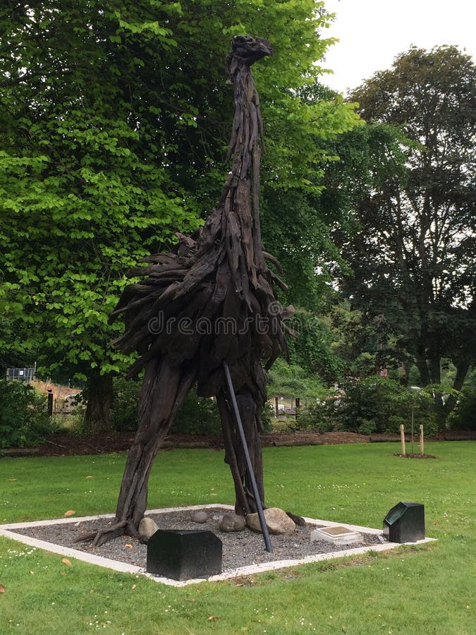 Moa stock photo. Image of zealand, sculpture, statue - 43116754