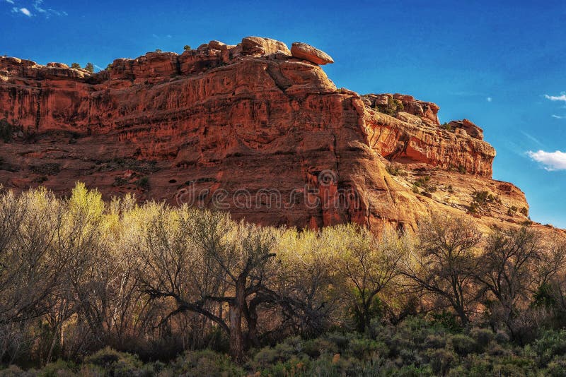 Moab Utah red rocks stock image. Image of national, rocks - 203630019