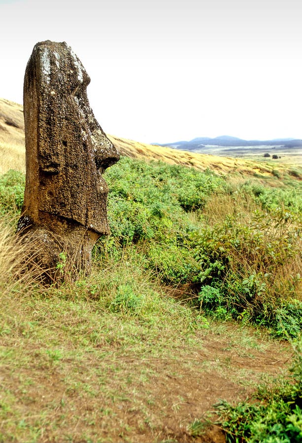 Moai- Easter Island stock photo. Image of enigma, guardians - 526264