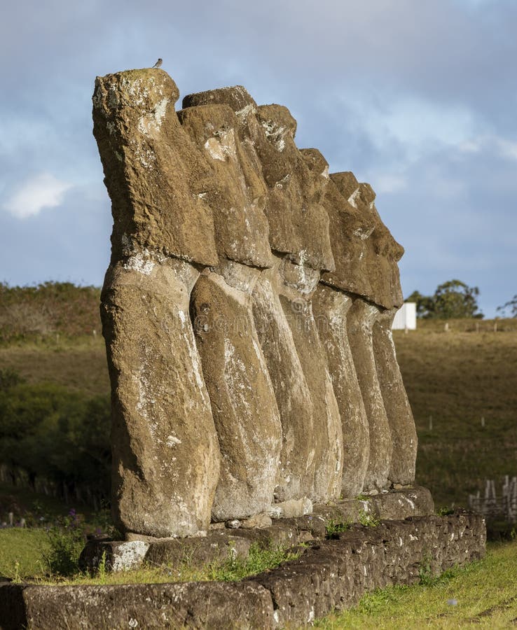 Moai on Easter Island at Ahu Akivi Stock Image - Image of landscape ...