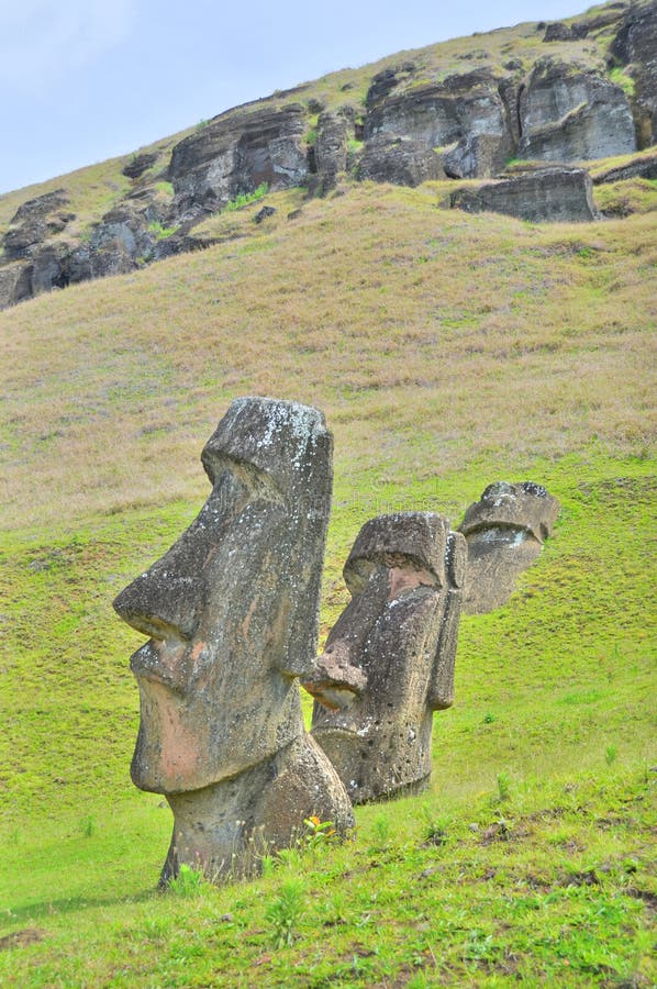 Moai Statues Abandoned on the Slopes of the Rano Raraku on Easter ...