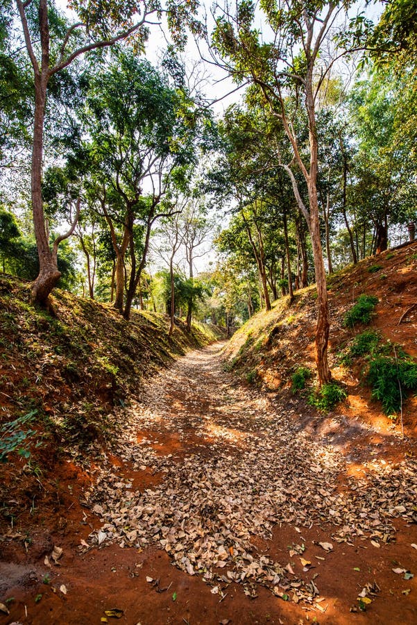 Moat of Wieng Kalong Ancient City Stock Photo - Image of green, forest ...