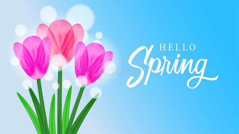 Hello Spring Background With Beauty Tulips Flower Blossom Stock Vector ...