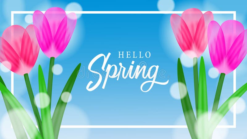 Hello Spring Background with Beauty Purple, Pink, Yellow Flower Blossom ...