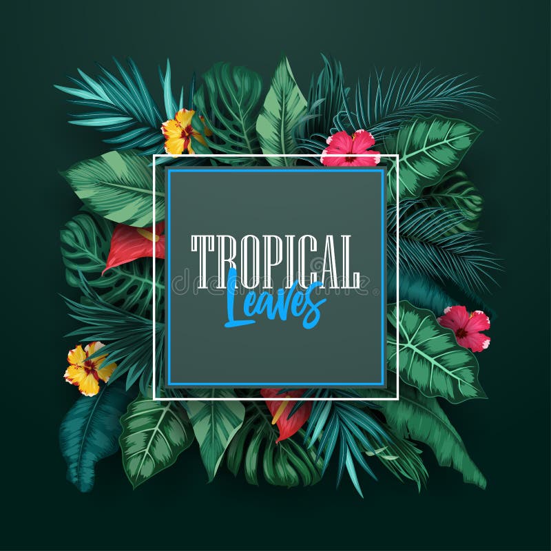 Forest Background Square Stock Illustrations – 24,953 Forest Background ...