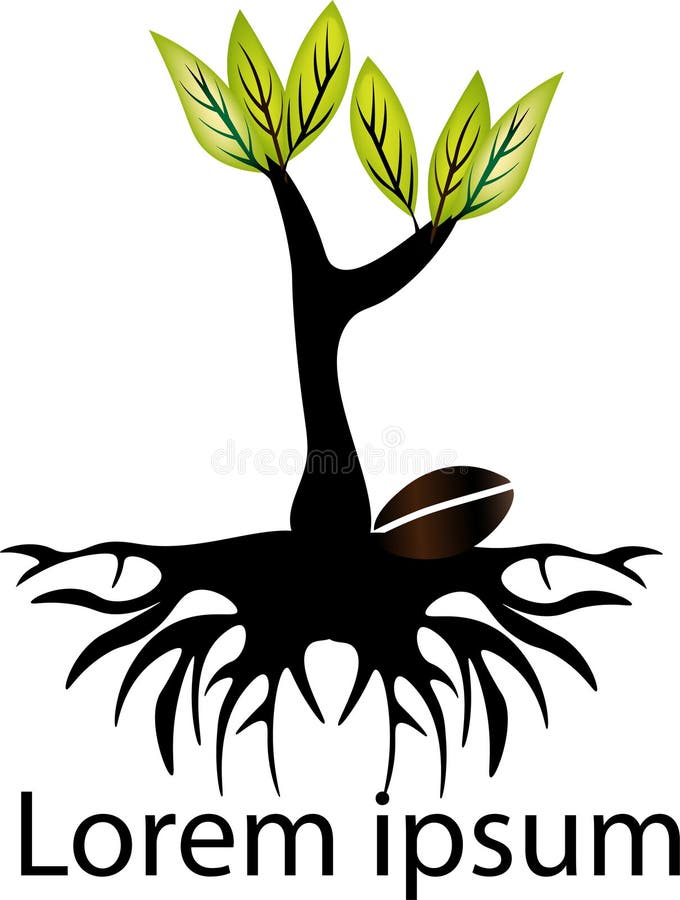 Grow Tree Root Infographic Stock Illustrations – 94 Grow Tree Root ...